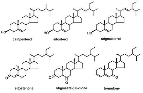 The Structures Of Identified Phytosterols And Steroids Download