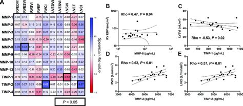 A Correlation Matrix Between The Circulating Mmp Timp Levels And