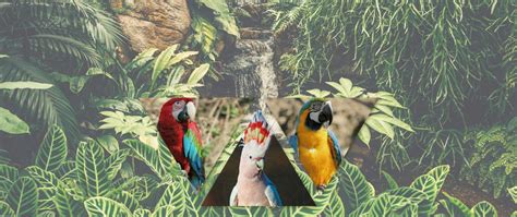 Incredible CSS Tricks To Transform Your Web Layouts