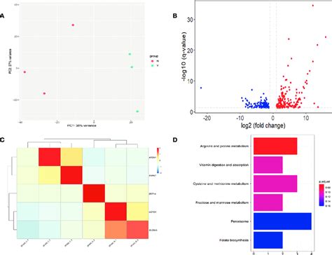 Transcriptomic Analysis Between Individuals With Black Mantle Markings