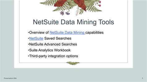 Netsuite Data Mining And Reporting Ppt