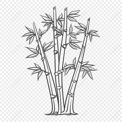 흰색 배경 그림에 있는 대나무의 설명 개요 스케치 벡터개요 예술라인 아트 Png 일러스트 무료 다운로드 Lovepik
