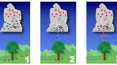 How Does Lightning Happen And Which Type Is More Dangerous WPXI