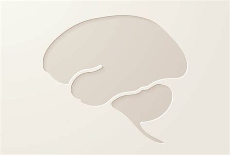 Özgür Ozan Koyuncu On Linkedin Cortical Differences In Autism Vary By Sex