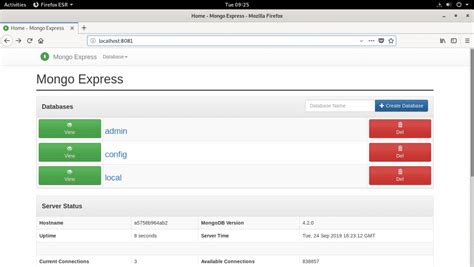 Set Up A Mongodb Server With Docker Onet Idc Onet Idc