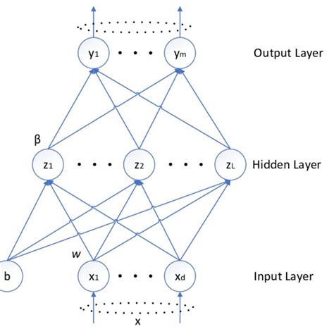 single hidden layer feedforward network architecture [17] download
