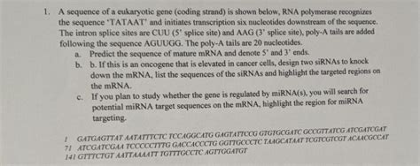 Solved A Sequence Of A Eukaryotic Gene Coding Strand Is Chegg