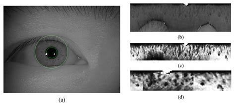 An Efficient And Accurate Iris Recognition Algorithm Based On A Novel Condensed 2 Ch Deep