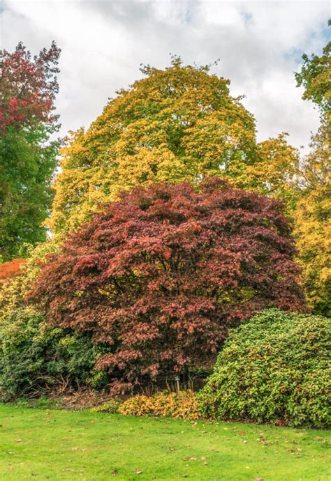 Life And Gardens Of Gertrude Jekyll Visionary Of English Garden Design