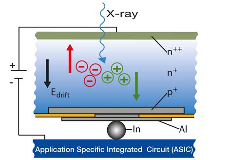 Direct Detection Dectris
