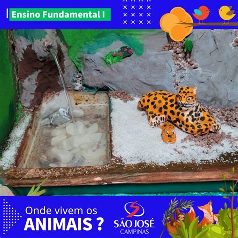 Onde vivem os animais? – Escola Salesiana São José