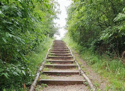 Steps Stairway Nature - Free photo on Pixabay - Pixabay