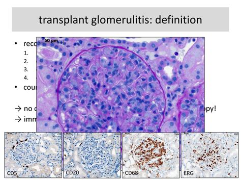 Ppt Case 6 Powerpoint Presentation Free Download Id2044955