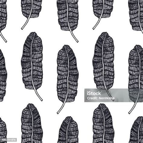 열 대 야 자 나뭇잎 바나나 나무 벡터 원활한 검은 배경 패턴 0명에 대한 스톡 벡터 아트 및 기타 이미지 0명 검은색 계절 Istock