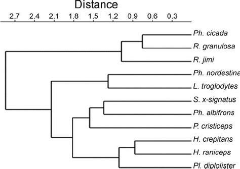 Cluster Analysis Based In Euclidean Distance Calculated From Mean Of