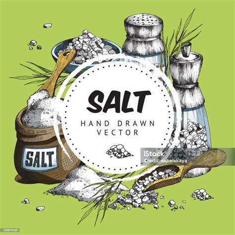 녹색 배경에 텍스트 소금과 소금 개체와 둥근 레이블의 색상 벡터 손 원시 그림 소금 쉐이커에 대한 스톡 벡터 아트 및 기타 이미지 소금 쉐이커 가루로 빻은 건강한