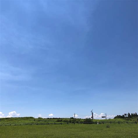 5zigen International Inc 5zigen International Inc