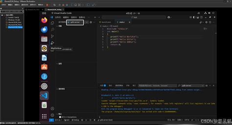 [linux]从零开始的vs code交叉调试arm linux程序教程 vscode调试linux程序 csdn博客