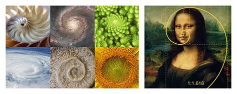Buy Golden Ratio Grid Printable Template Fibonacci 40 Off