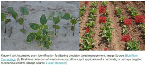 Precision Management And Technologies For Organic Field Crop Production Pivot And Grow
