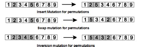 The Order Based Mutation Operator Variants Download Scientific Diagram