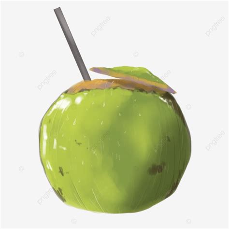 코코넛 음료 코코넛 과일 마시다 Png 일러스트 및 Psd 이미지 무료 다운로드 Pngtree