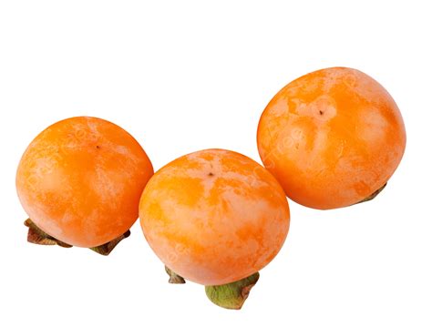 과일 연감 감 가을 과일 열매 Png 일러스트 및 이미지 에 대한 무료 다운로드 Pngtree