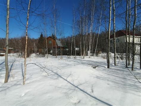 Земли сельхозназначения Московская область Богородский городской округ садовое товарищество