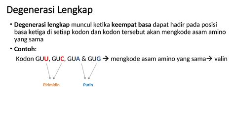 Genetic Code Ppt For Genetic Education Ppt