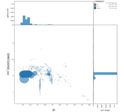Genome Assembly Of Accipiter Gentilis Baccgen11 Gc Coverage