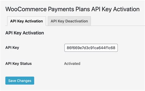 What Are WooCommerce License Keys Read Our Guide And Learn How To Add Value To Your Business