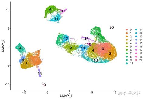 单细胞数据分析——rna Velocity（专题一） 知乎