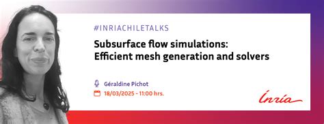 Subsurface Flow Simulations Efficient Mesh Generation And Solvers Inria