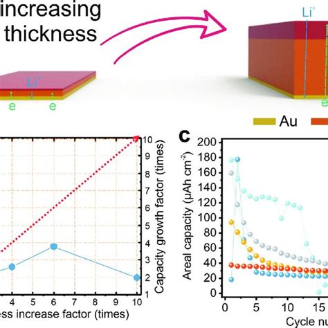 A Schematic Illustration Of Ion Diffusion And Charge Transport Path In