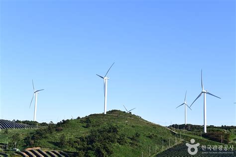 활성산 풍력발전단지 관광 정보와 주변 관광 명소 및 근처 맛집 여행 정보
