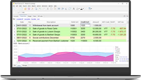Banana Professional Accounting Software Intuitive Practical Fast