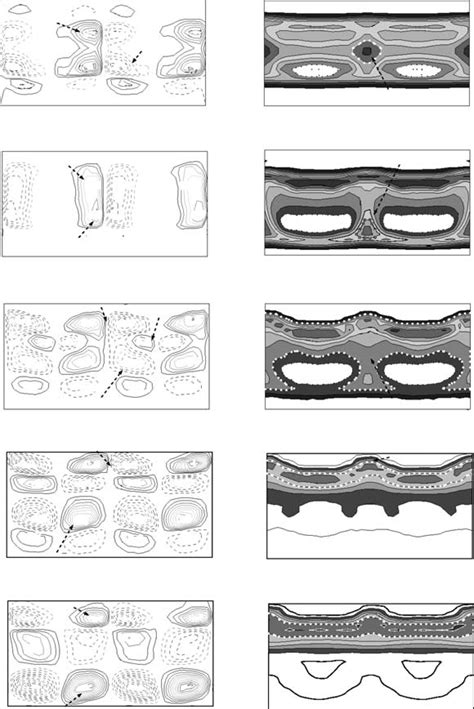 The Numerically Calculated Flow Pattern For Different Cross Sections At