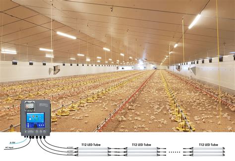 Hontech Wins On Linkedin Hontech Breeder Poultryfarming