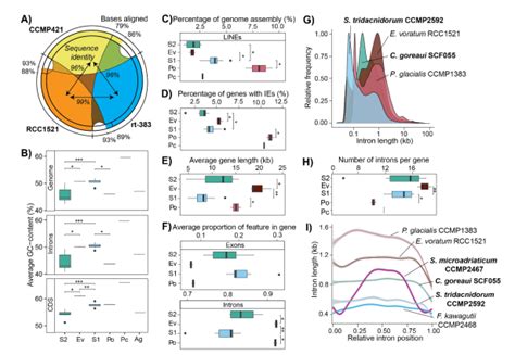 Pre Print Massive Genome Reduction Occurred Prior To The Origin Of Coral Algal Symbionts