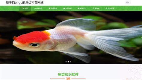 计算机毕业设计基于django的鱼类科普网站设计与实现 django鱼类知识科普 csdn博客
