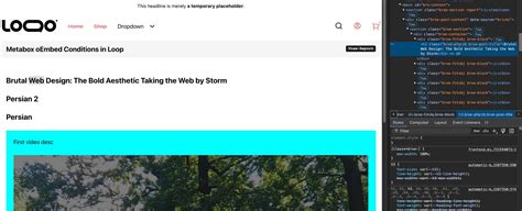 no bug using a metabox custom field in conditions bugs bricks community forum