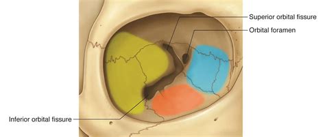 Orbital Decompression American Academy Of Ophthalmology