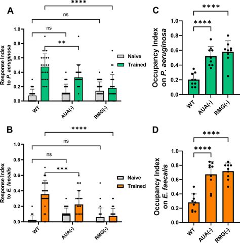 a four layer circuit underlies pathogen avoidance behaviors a response