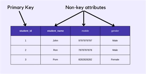 Attributes Uses Impact And Common Errors Botpenguin