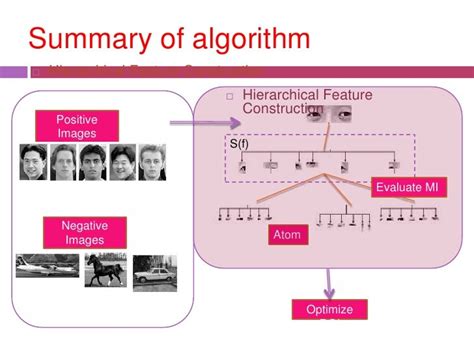 feature hierarchies for object classification