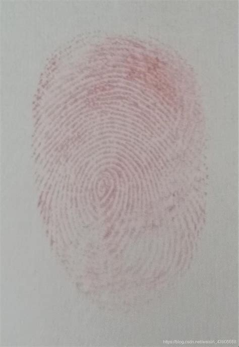 指纹提取 图像处理python 指纹提取图片 Mob64ca1403c772的技术博客 51cto博客