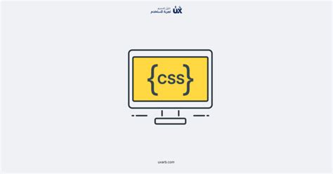 أساسيات Css دليل المبتدئين لفهم وتطبيق لغة التنسيق تجربة المستخدم العربي