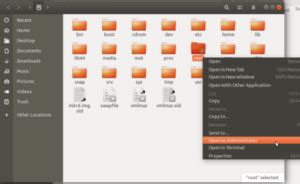 Ways To Open Folders In Ubuntu LTS VITUX