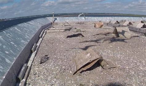 Tern platform Association du bassin versant de la baie de Shédiac
