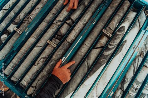 Geological Gold Core Samples With Team Of Mining Workers Measuring Drilled Rock Top View